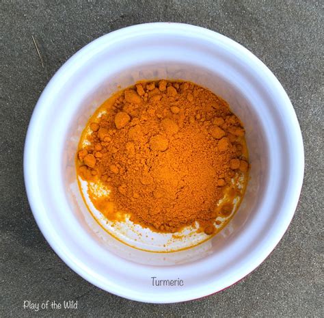 Turmeric Ph Indicator Experiment For Acids And Bases Play Of The Wild