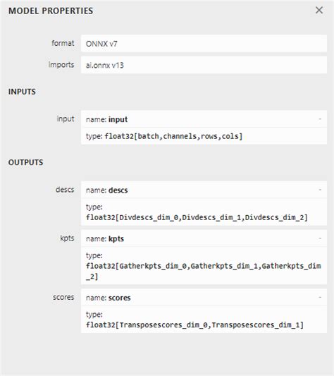dynamic onnx model becomes a trt engine with a static output tensorrt