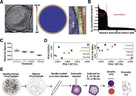 Figure 4 From A High Throughput Organoid Microinjection Platform To