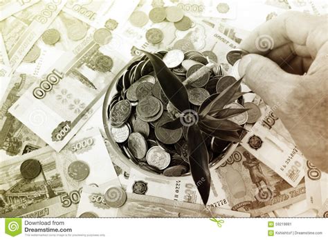Growing Of Money Tree Stock Image Image Of Bills Putting 59219881