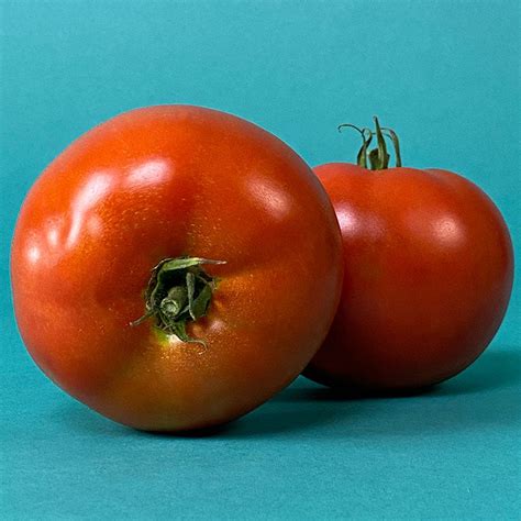 Tomato Big Beef Plus F1 Seed Harris Seeds