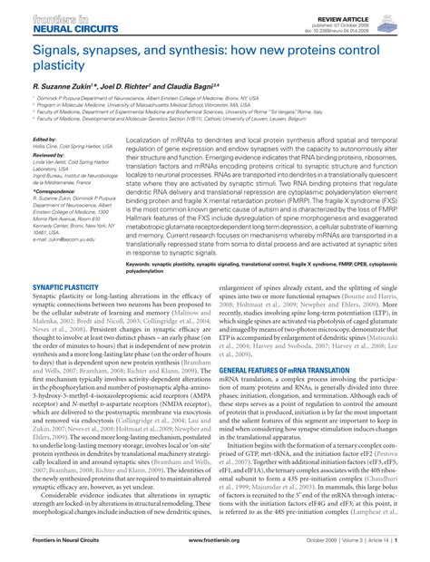 Pdf Signals Synapses And Synthesis How New Proteins Control Plasticity