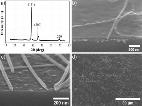 A Xrd Pattern Of The As Synthesized Cu Nws B And C Side View Fe Sem Download Scientific
