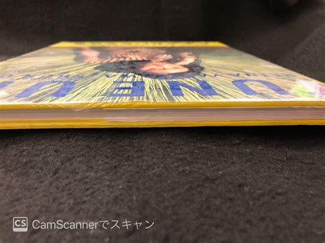 Yahoo オークション 本八木沢れいな写真集 PrivateSparky 腰