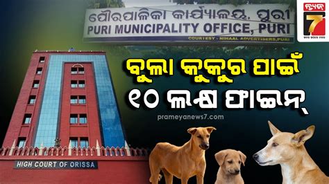 ୨୦୧୬ରେ କୁକୁର କାମୁଡାରେ ଶିଶୁର ମୃତ୍ୟୁ ମାମଲା ପରିବାରକୁ ୧୦ଲକ୍ଷ ଟଙ୍କା