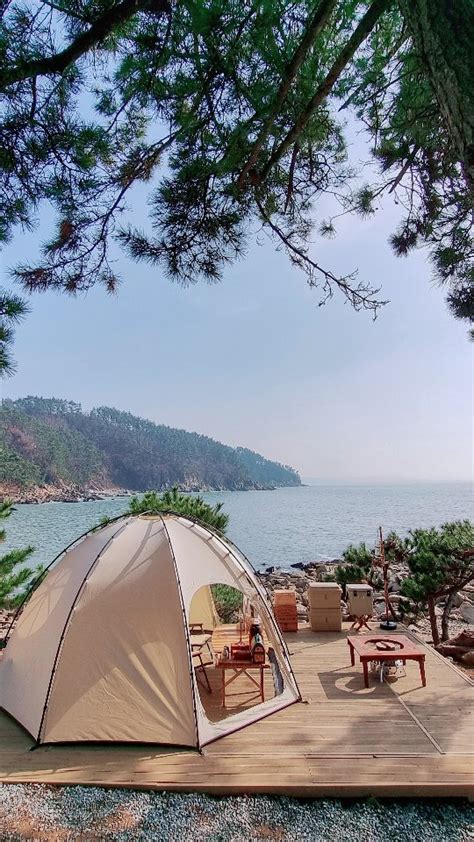 랑꾸캠핑🏕 감성캠핑여행기록 지금 우리 실시간📷 숲 속에서 힐링 가득🍃 해먹있는 사이트라니 ㅤ 지금 여기는 전부터 꼭 와보고 싶었던 캠핑장인데 오늘부터 내 맘속 1