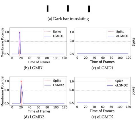 Biomimetics Special Issue Bio Inspired And Biomimetic Intelligence In Robotics 2nd Edition