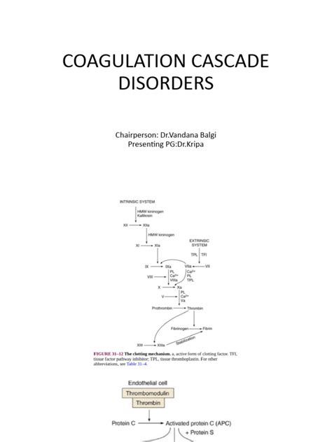 Coagulation Disorders 1 1 Pdf