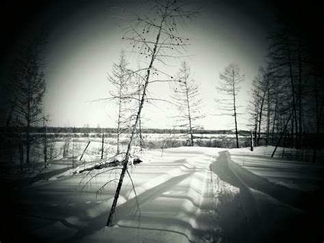 Пару фотографий Пикабу