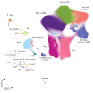 TCR Sequencing Of 1 Million Mouse T Cells In A Single Experiment