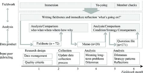 Data Collection And Analysis Process Download Scientific Diagram