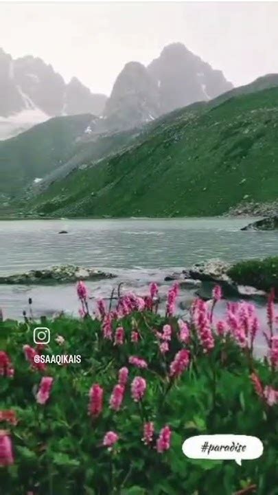 Charsar Naag Youtube