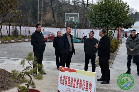 中心副主任、党委委员李振军一行深入江洛林场检查验收2024年基建维修改造项目 江洛林场 甘肃省小陇山林业保护中心官方网站