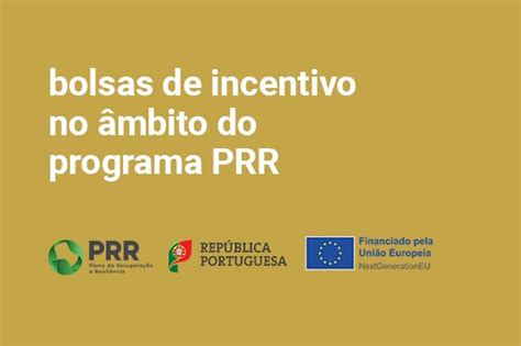 Bolsas de Incentivo no âmbito do Programa PRR 2022 2023 Escola