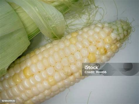 익은 자연 옥수수 Cobs입니다 건강 한 먹는입니다 에코친화적인 제품입니다 유기 음식입니다 갈색에 대한 스톡 사진 및 기타 이미지 Istock