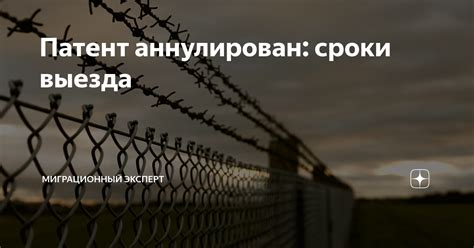 Патент аннулирован сроки выезда Миграционный Эксперт Дзен
