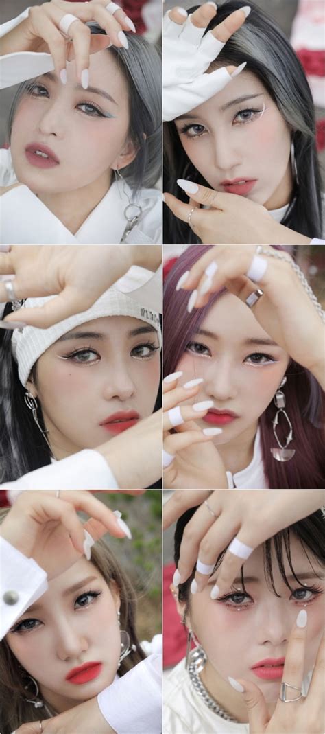 픽시 인도 향해 날아간다 실롱 벚꽃축제 출격