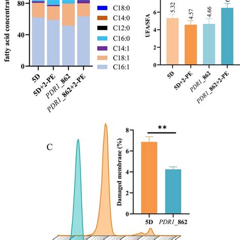 Spot Assay A And Cell Growth B Of The Reverse Engineered Strains Download Scientific