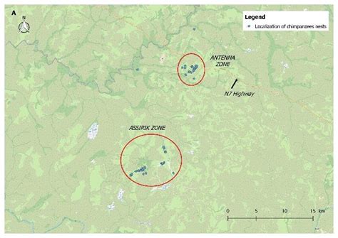 Location Of Chimpanzee Nests In The Antenna Zone Niokolo Koba National