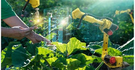 Nxtgen Hightech Program To Boost Dutch Agrifood Technology