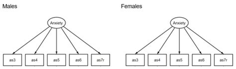 Measurement Invariance And Multiple Group Analysis The Analysis Factor