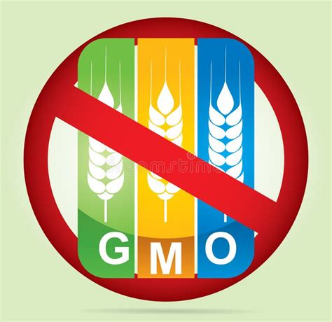 Non Genetically Modifies Plants Stock Vector Illustration Of Biology Industrial 27673452