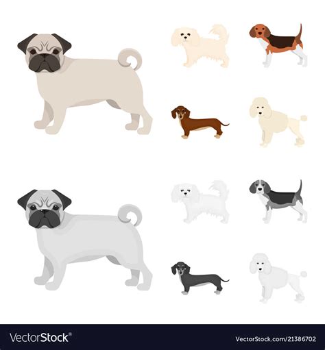 Dog Breeds Cartoonmonochrome Icons In Set Vector Image