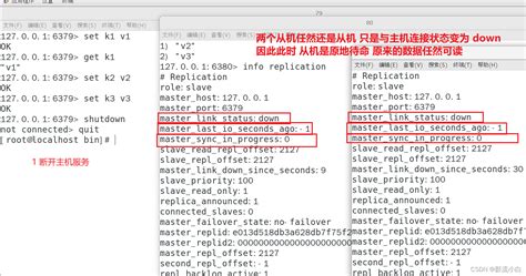Redis706 基础篇 第六章 Redis复制replicaredis 复制的特点有哪些 Csdn博客