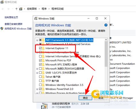 电脑浏览器下载软件无法安装怎么回事 浏览器乐园