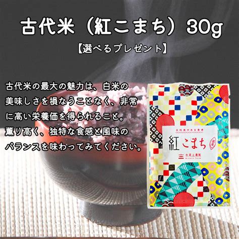 新米 令和6年産 米 お米 米10kg （5kg×2袋） あきたこまち 茨城県産 白米 精米（選べるプレゼント付き） Mf A Is10