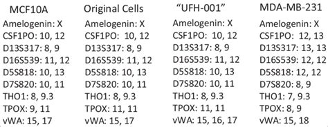 Str Analysis Of Original And Ufh 001 Cells Compared To The Atcc Str