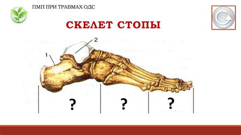 ПМП при травмах растяжении связок вывихах суставов переломах костей