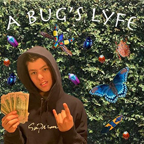 A Bugs Lyfe Lil Bug Digital Music