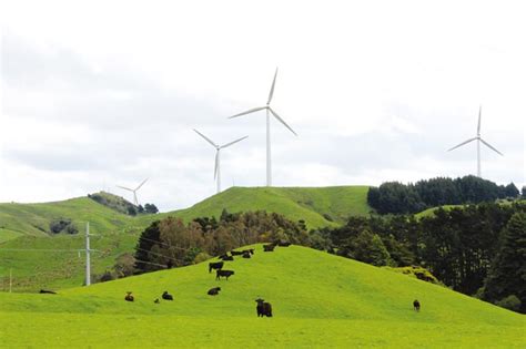 加速減碳 紐西蘭明年底發綠債 全球財經 工商時報