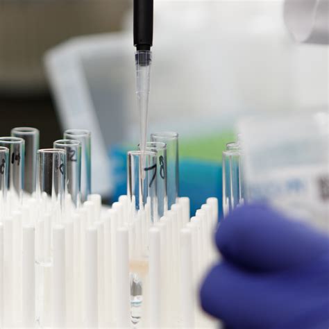 Sample Testing Pine Nut Neogen