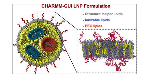 What Can CHARMM GUI Do For You