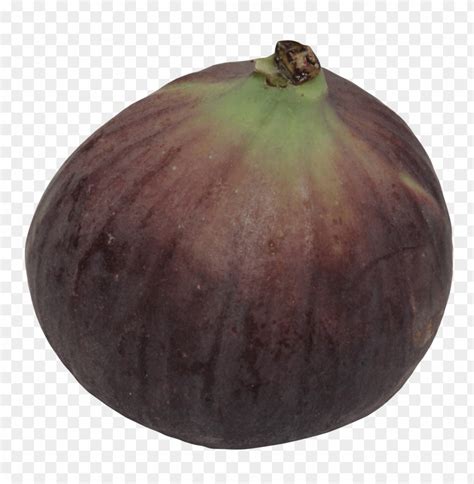 Free Download HD PNG Whole And Cut Fig Illustration TOPpng