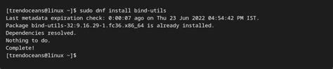How To Install And Use Dig And Nslookup Commands In Linux For Dns