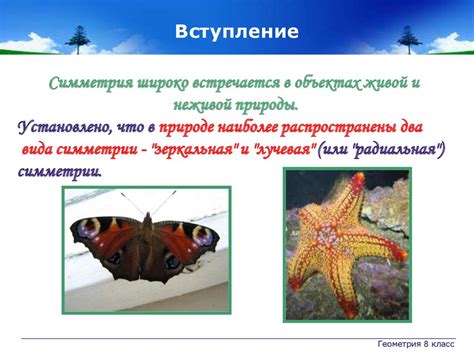 Симметрия в природе презентация онлайн