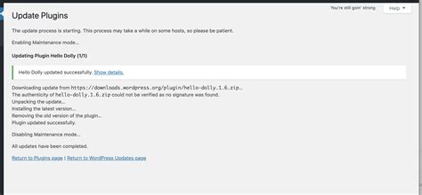34676 Optimize Bulk Plugin Updates Wordpress Trac