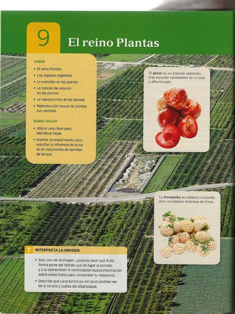 Biologia 1 Eso Santillana T09 Pdf