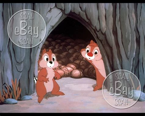 Rare Walt Disney S Chip Dale Cartoon X Color Photo Eur Picclick Fr