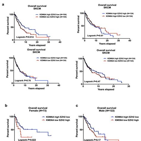 Gene Set Enrichment Analysis Of Kdm6a High Vs Low Group Based On Sex Download Scientific