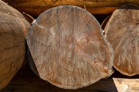 Premium Photo Closeup On A Log Of A Tree In The Form Of A Round