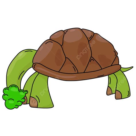 The Green Turtle Hid Its Head In Bush Vector Turtle Animal Reptile Png And Vector With