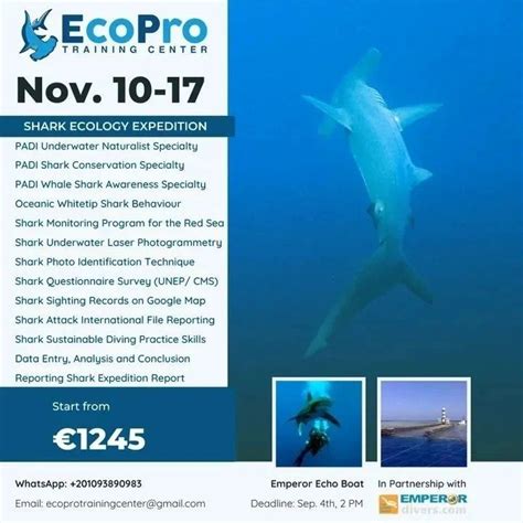 Dr Ahmed Shawky On Linkedin Shark Reef Redsea Marine Marinelife