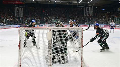 Heimspiel - AEV erwartet SERC - News - Augsburger Panther