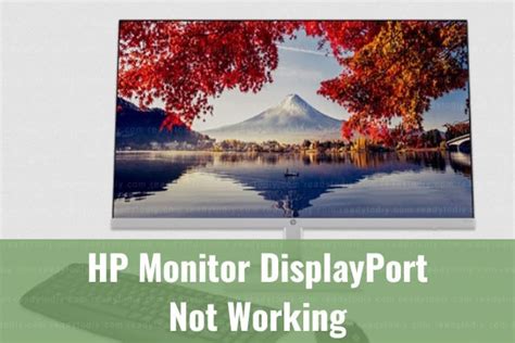 HP Monitor DisplayPort Not Working Ready To DIY