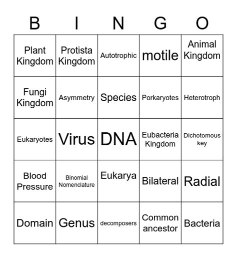 Classification Bingo Card