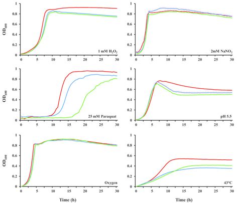 Growth Curves Of S Gordonii Dl1 And Rcrr Mutant Strains In The